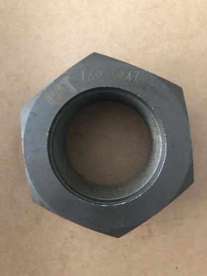 169-6947: NUT | Novi Group