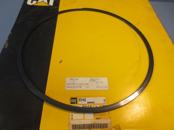 2W-2025: Ring | Novi Group