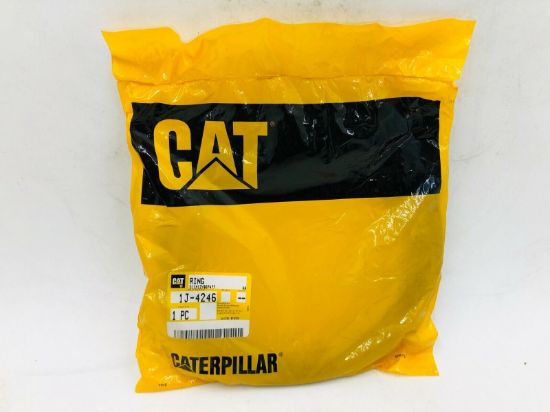 1J-4246: RING | Novi Group